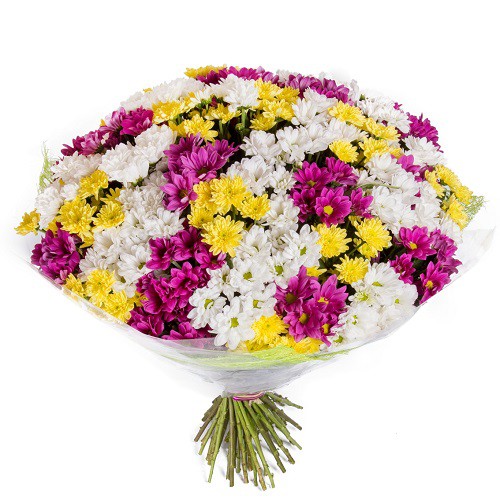 Xrizantema buketi #H015